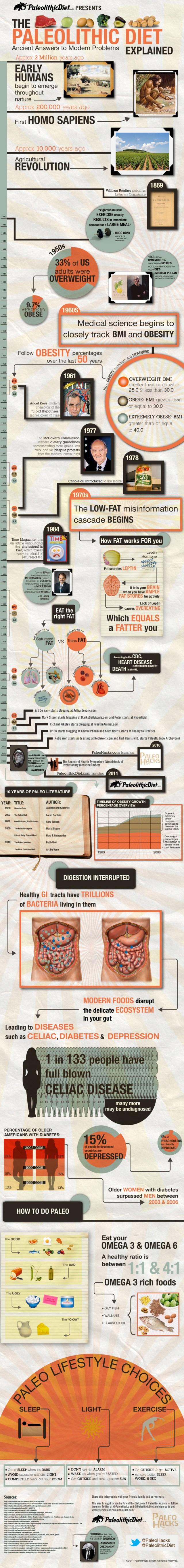 Paleolithic Diet Infographic – Preindustrial Craftsmanship