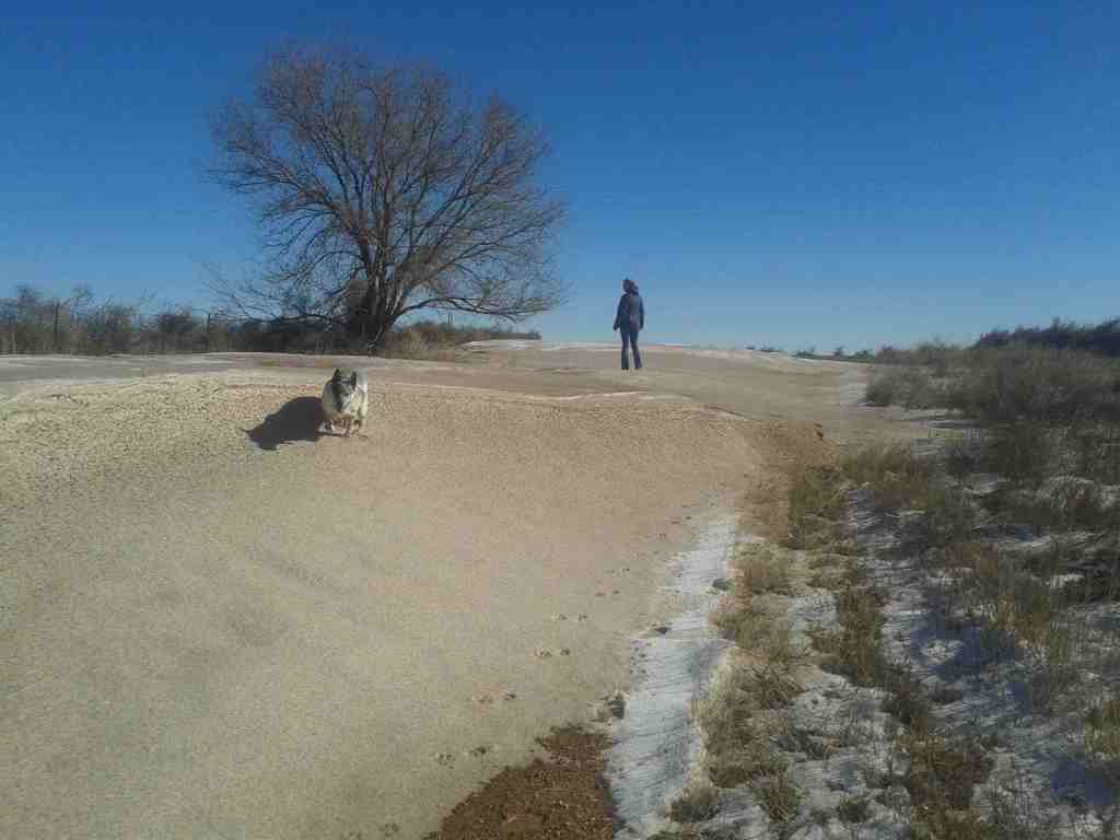 Fitting the exterior, Vardo Remodel Part 6 – Preindustrial Craftsmanship